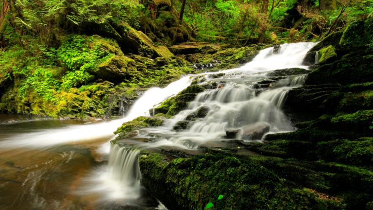 The Tongass | Alaska Conservation Foundation