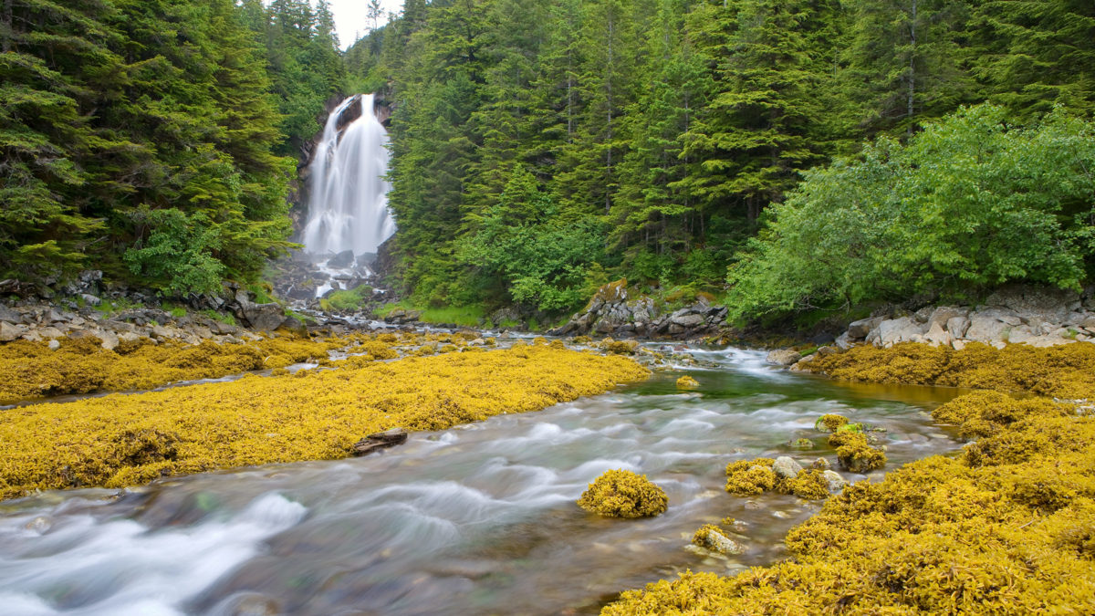 Impact | Alaska Conservation Foundation