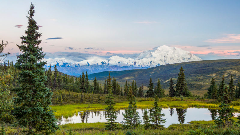Overview, Mission & Values | Alaska Conservation Foundation