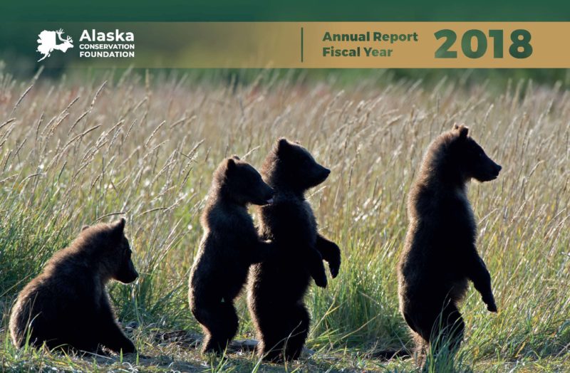 Annual Reports | Alaska Conservation Foundation