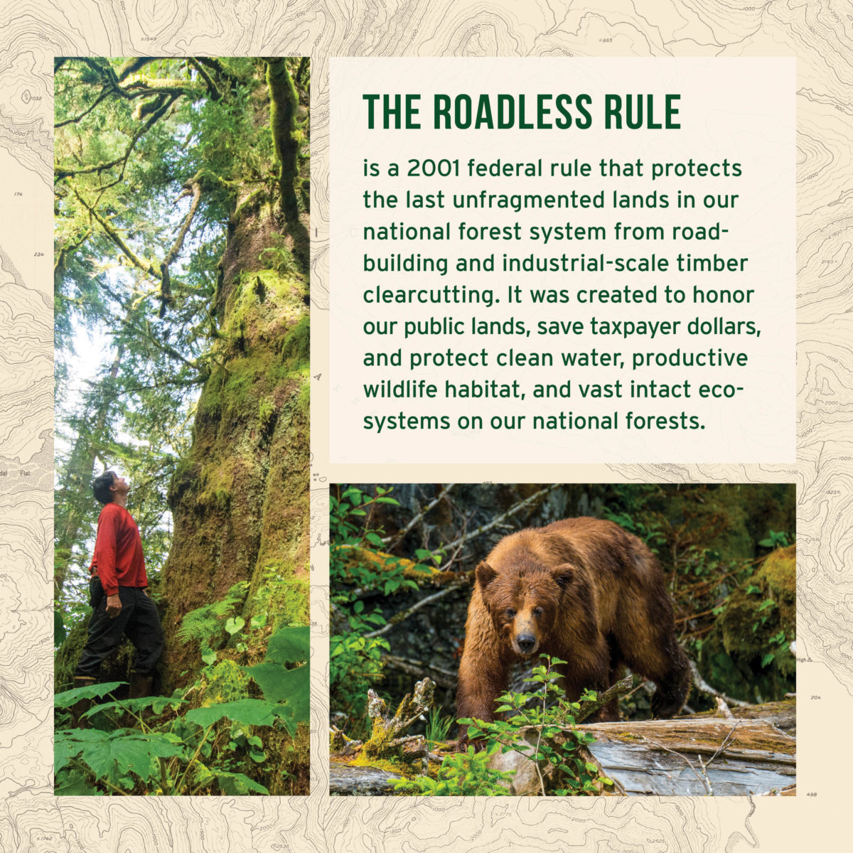 Preserve the Tongass | Alaska Conservation Foundation