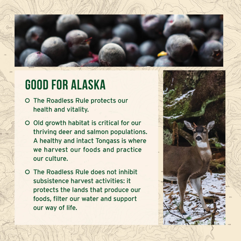 Preserve the Tongass | Alaska Conservation Foundation