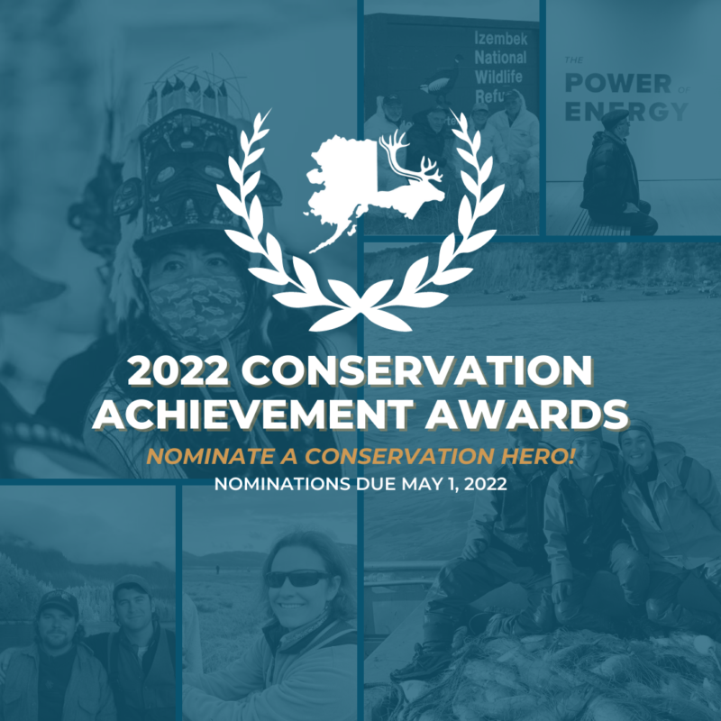 Building strategic leadership and support for Alaska's environment.