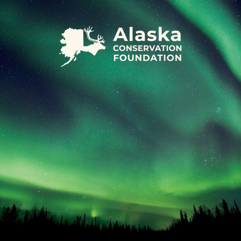 Building strategic leadership and support for Alaska's environment.