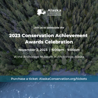 Building strategic leadership and support for Alaska's environment.