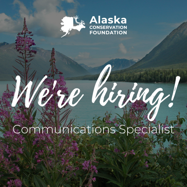 Building strategic leadership and support for Alaska's environment.