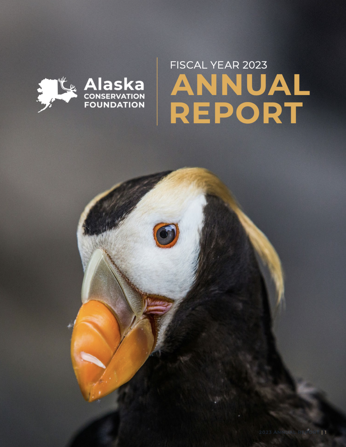 Annual Reports | Alaska Conservation Foundation